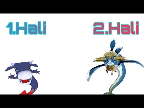 USTALARIN CILLELERIN GERÇEK ISMINI ÖĞRENDIĞI ANLAR+CILLELERIN 2.HALI ...