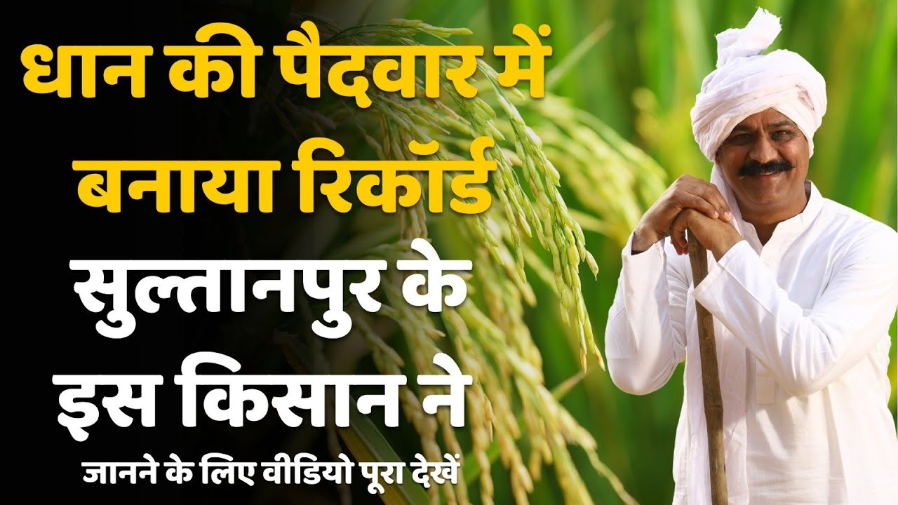 Interview with India’s Top Rice-Producing Farmer: Insights from a ...