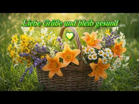 Eine magische Reise im Frühling und liebe Grüße  💐