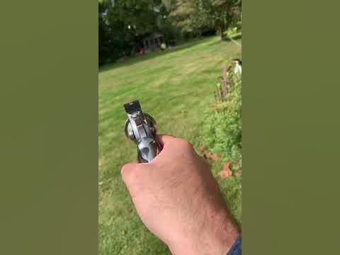 Colt Python / Wilson combat rear sight #coltpython #wilsoncombat # ...