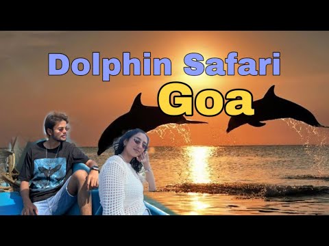 Dolphins in Goa 😍🐬|| North to south 🇮🇳 india ep 7|| - YouTube