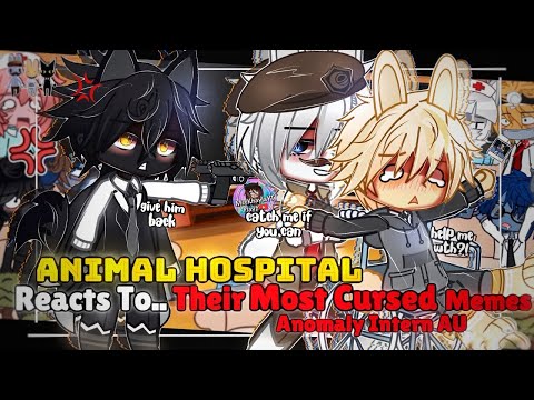 Animal Hospital Reacts To Their Most Cursed Memes | ANOMALY INTERN AU | GLMM / GCMM Gacha Club Movie