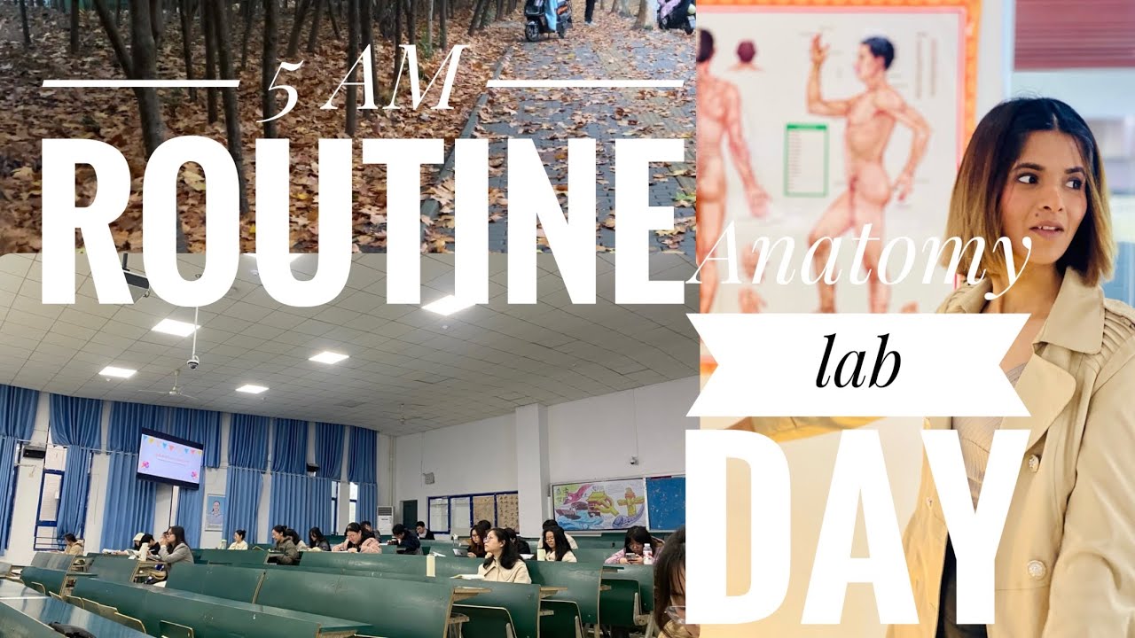 Exploring a Minimalist Lifestyle as a Medical Student | Medical student ...