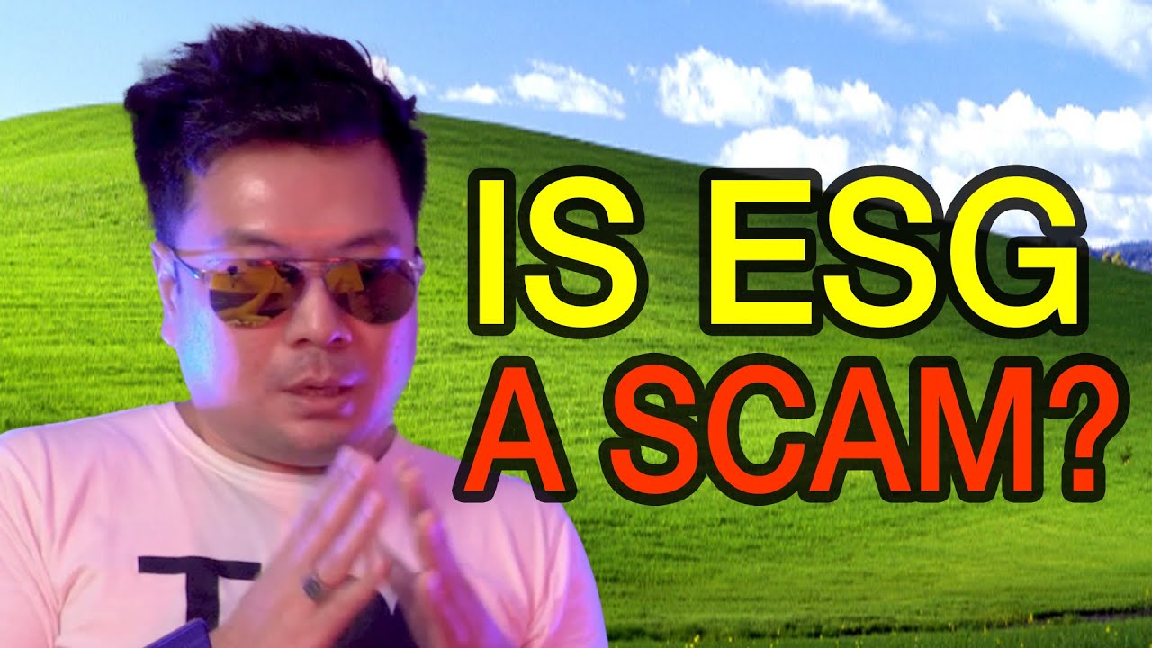 Is ESG A Scam? Climate Anxiety Explored With SG's Energy Humanist ...