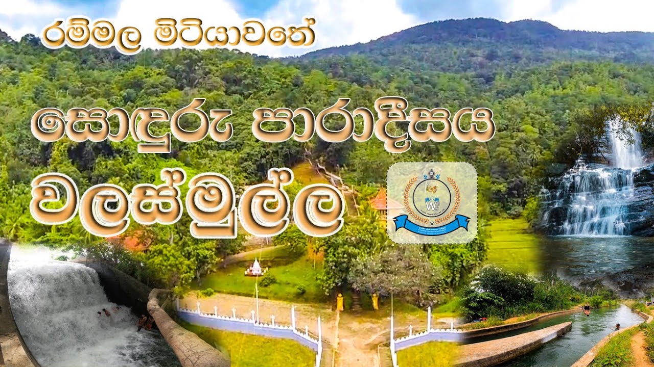 රම්මල මිටියාවතේ සොඳුරු පාරාදීසය- වලස්මුල්ල || Documentary by Walasmulla ...