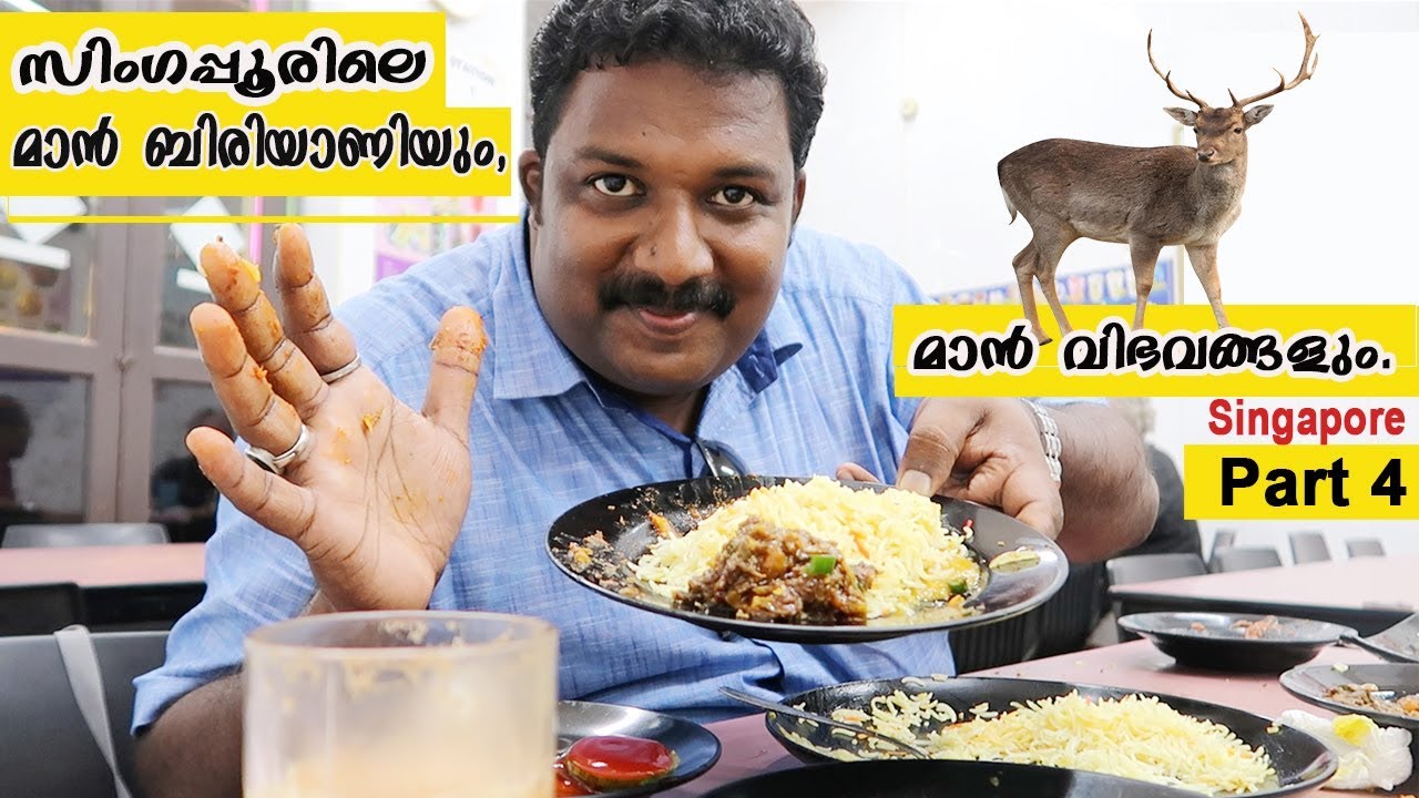 Deer Biriyani Singapore | മാൻ ബിരിയാണിയും സിംഗപ്പൂരിലെ മാൻ വിഭവങ്ങളും ...