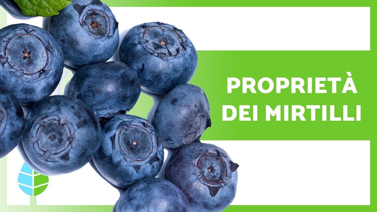 BENEFICI dei MIRTILLI per la SALUTE 🫐 (Proprietà, a cosa servono e come ...