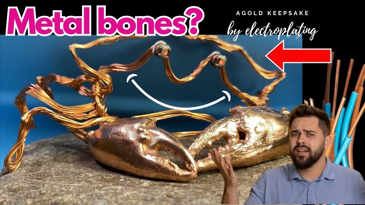 Coat anything in metal-copper&crab bones#copper electroplating#jewelry ...