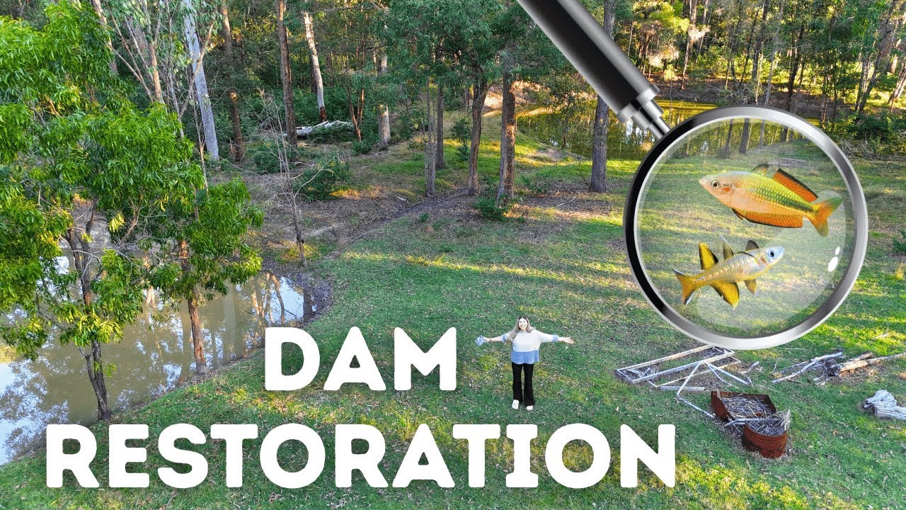 Building a NATIVE FISH Habitat in my Dams! - YouTube
