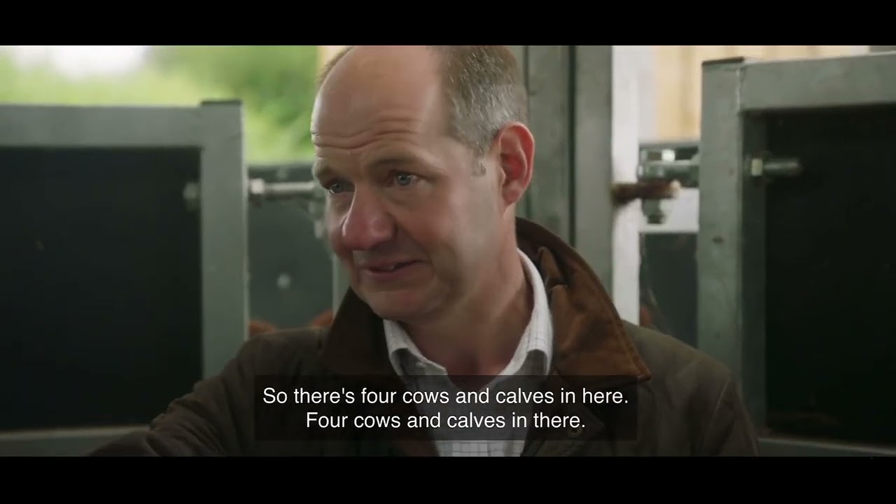 Jeremy Clarkson buying cows. Clarkson’s Farm Season 2 - YouTube