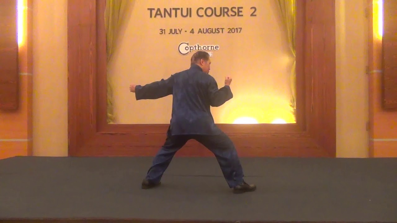 Shaolin Tantui Sequence 1 -- Thrust Punch - YouTube