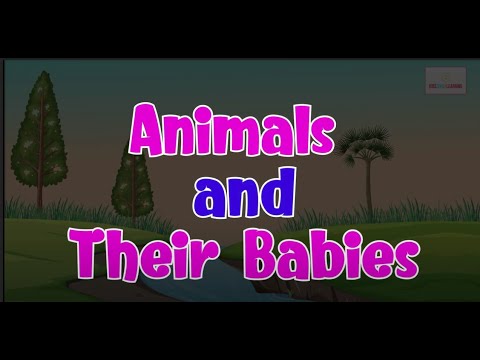 Baby Animals for Kids | Learning Videos for Toddlers ...