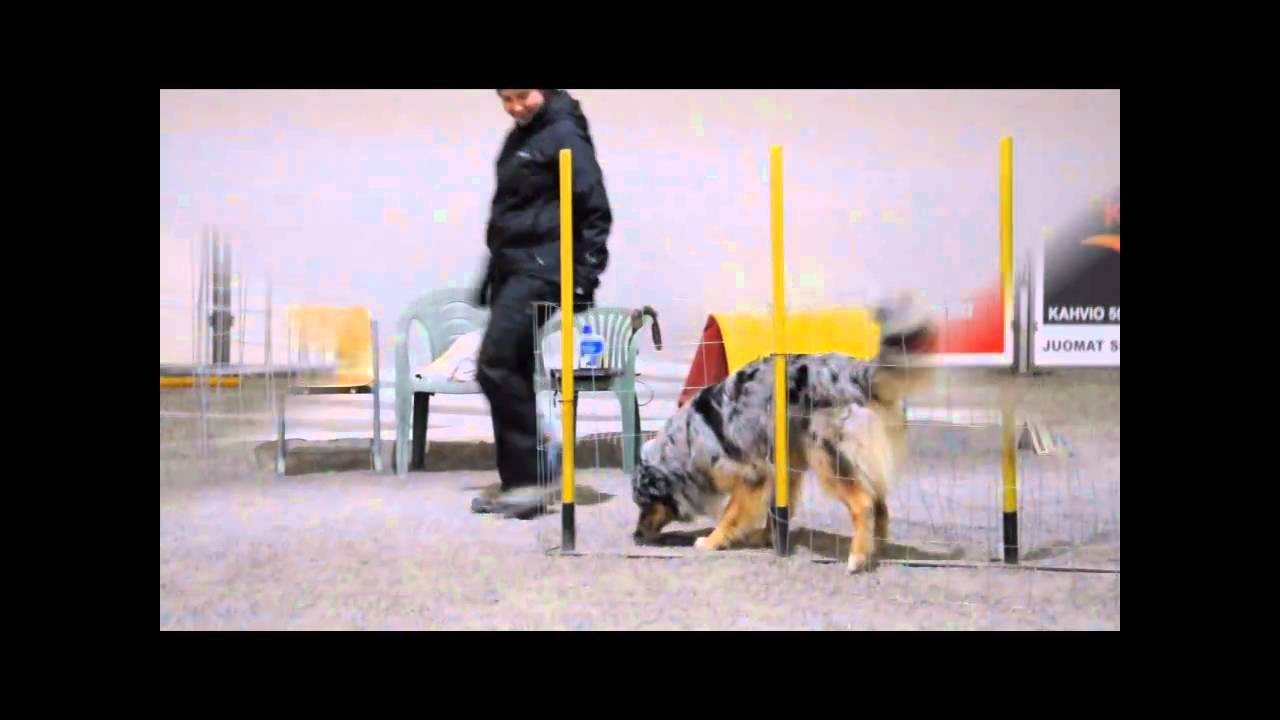 Nokson kepit 27 2 2011 - YouTube