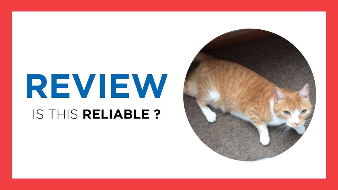 WAFFLES COIN ($WAFFLES) : FULL REVIEW (Token, Staking, News, Crypto ...