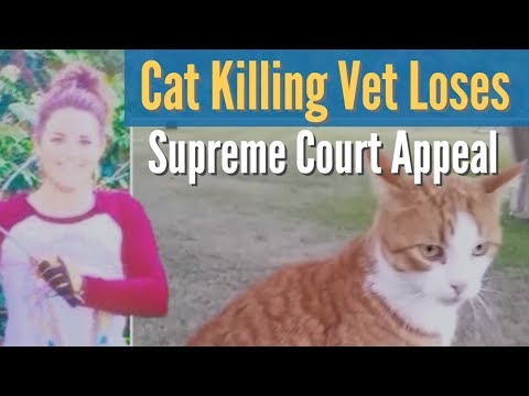Cat Killing Veterinarian has Court Appeal Denied