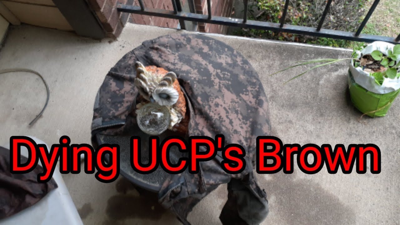 (229) 🔥🏕 Dying the US Army's UCP (universal camo pattern) Brown - YouTube