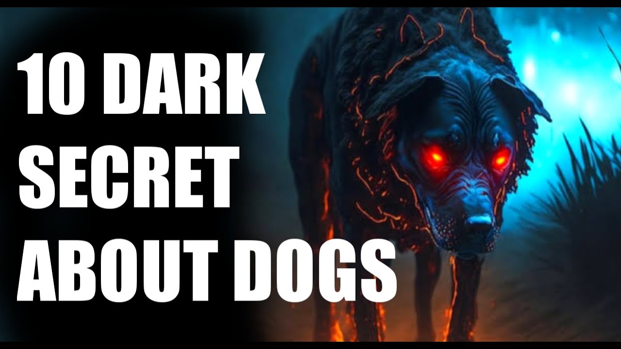 10 DARK SECRET ABOUT YOUR DOG | 10 Unknown Secret About Dogs | Dog ...