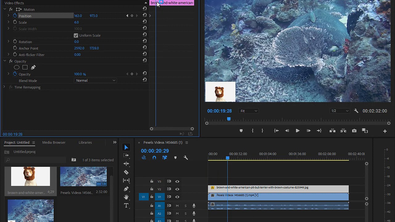 Intro to Key Frames - YouTube