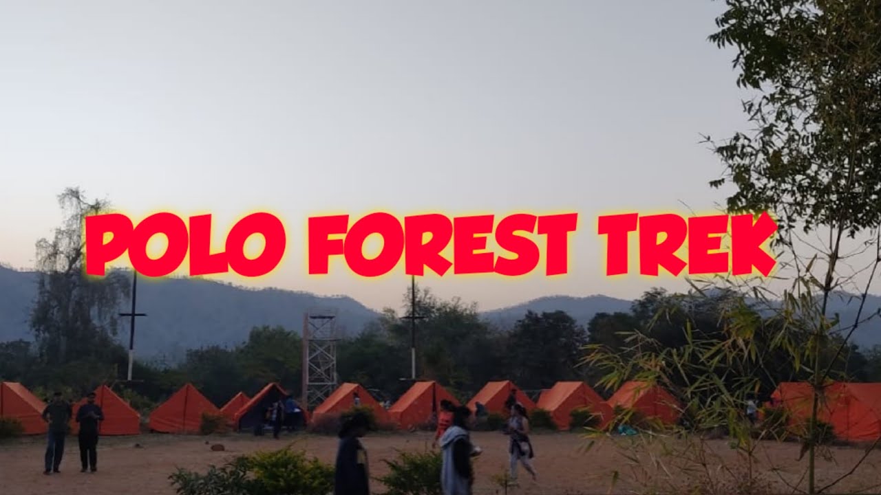 POLO FOREST | TREKKING CAMP | INVINCIBLE NGO - YouTube