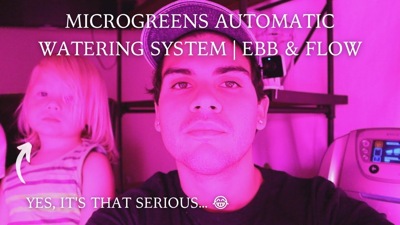 Microgreens Automatic Watering System (Ebb & Flow) Setup | Green Belt ...