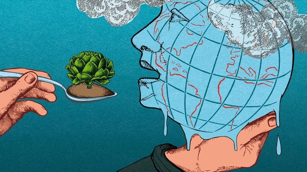 ¿Cuál es la diferencia entre KWASHIORKOR y MARASMO? - YouTube