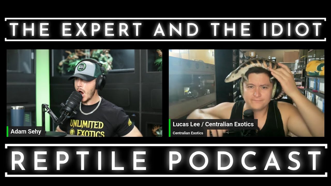 88 - Lucas Lee Vol. 2 - One Epic Year Later - The Expert and The Idiot ...