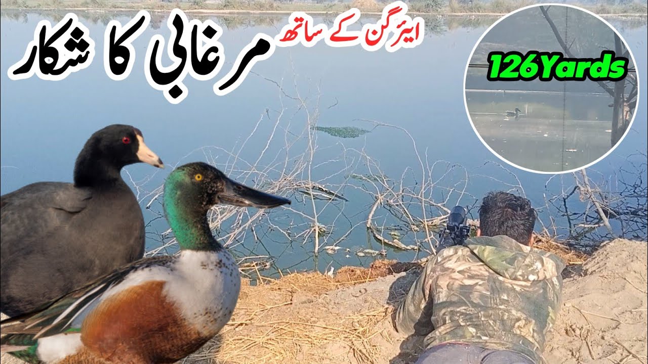 Duck Hunting With PCP Airgun 2022|Murgabi Ka Shikar|AirHunter PK - YouTube