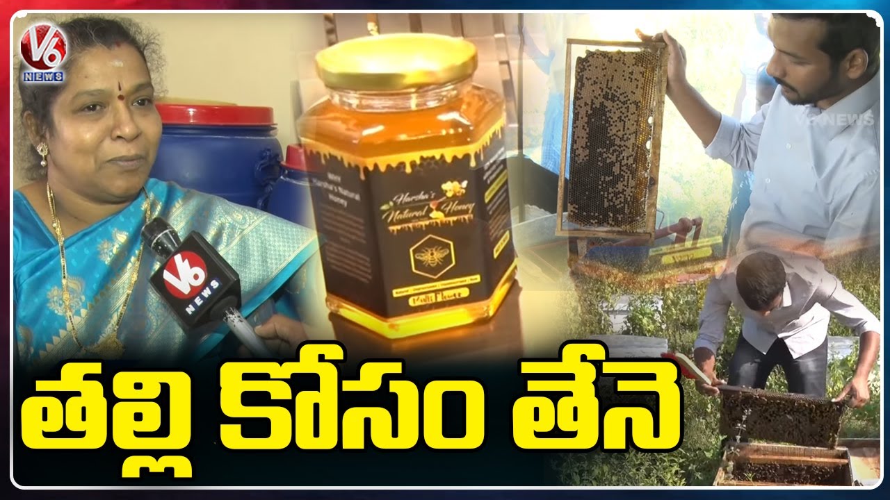Apiculture : Honey Bee Farming | Honey Cultivation | Warangal | V6 News ...