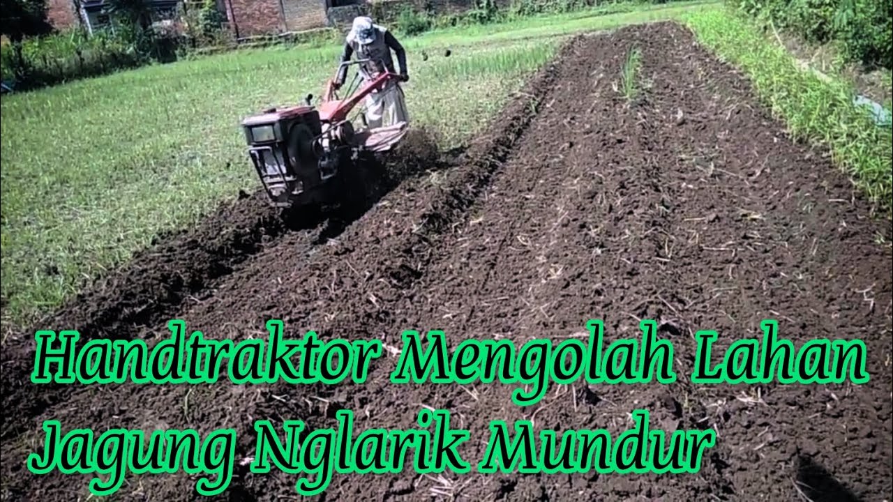 Handtraktor Mengolah Lahan Jagung Nglarik Mundur || Traktor Quick Zena ...