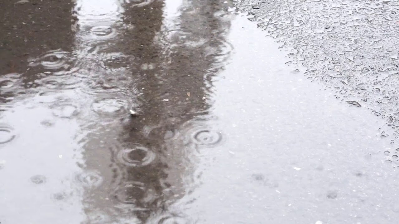 Rain: non-copyright video - YouTube