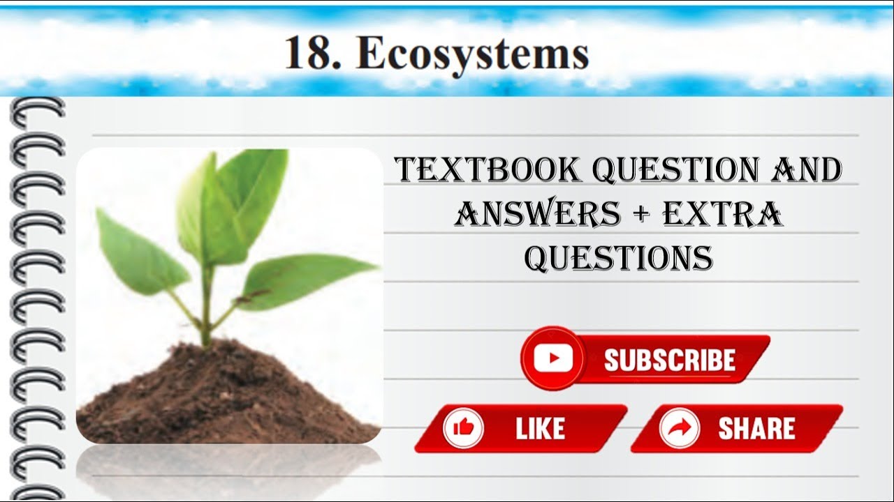 Std 8th Science 18. Ecosystems Questions and Answers - YouTube