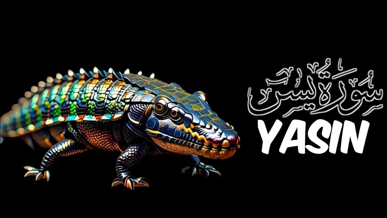 Night dhikr ~beautiful recitation of Indonesian youth ~ surah yaseen ...