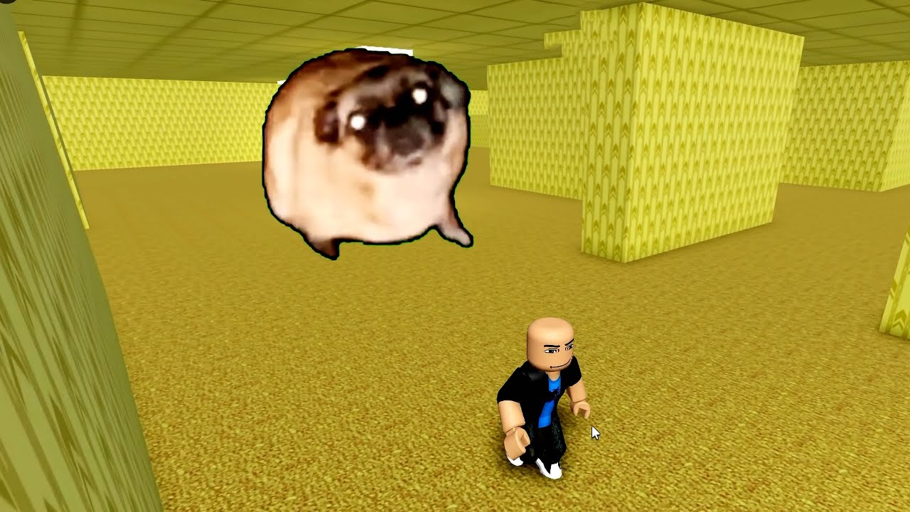 Escape Dancing Pug Meme Backrooms 😂 (ROBLOX) - YouTube