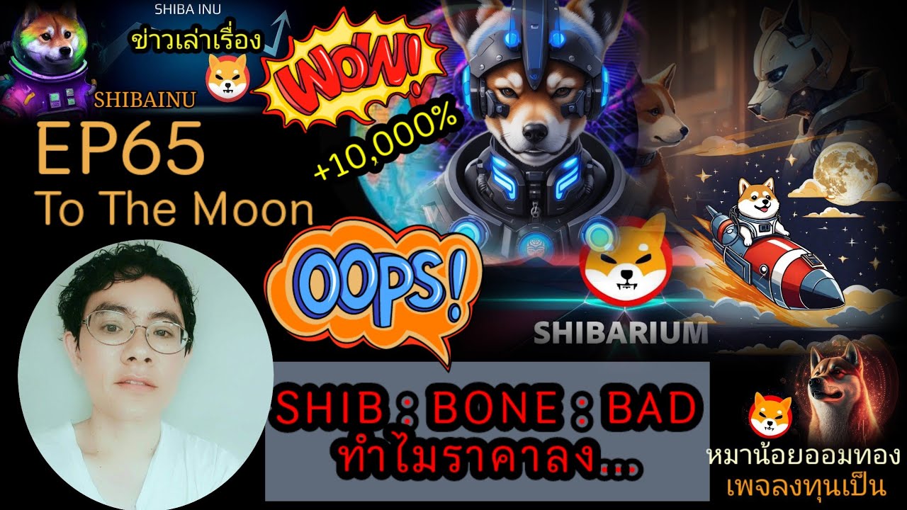 EP65:#shibainu #Shiba #bone #bad ทำไมราคาลง BAD โตเกิน + 10,000% BONE ...