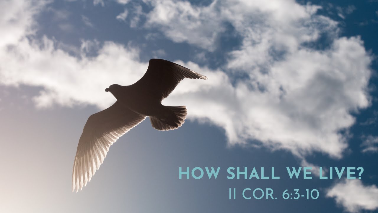 How Shall We Live? | Rev. Dr. Roger Quillin - YouTube