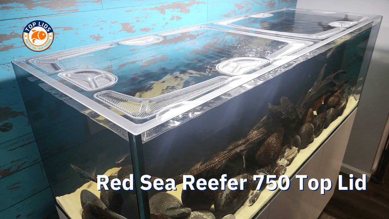 Goodbye Evaporation! | Red Sea 750 Solid Top Lid - YouTube