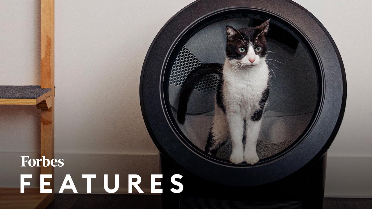 This Multimillion Dollar Brand Built Robots To Scoop Cat Poop So You ...