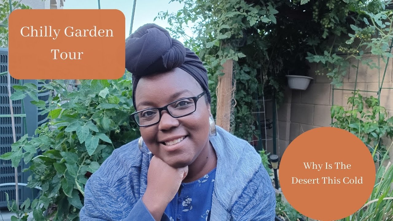 Chilly Garden Tour - Why Is The Desert This Cold - YouTube