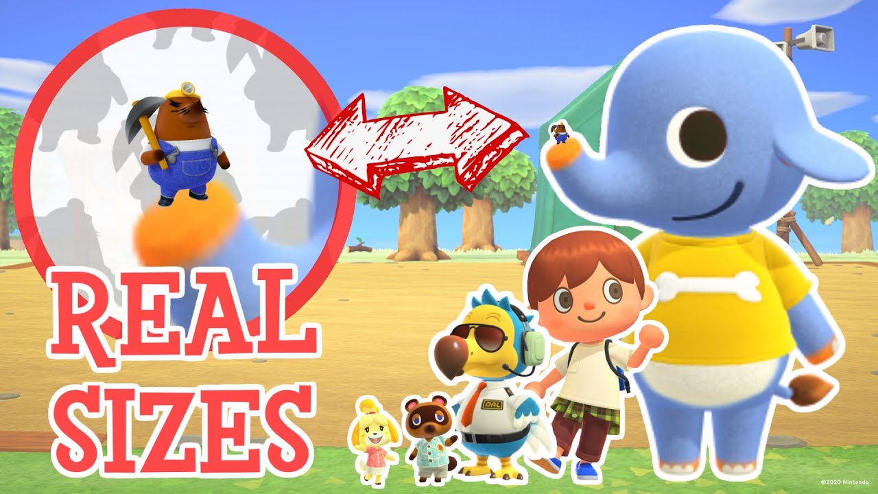 ANIMAL CROSSING Realistic Size Comparison - YouTube
