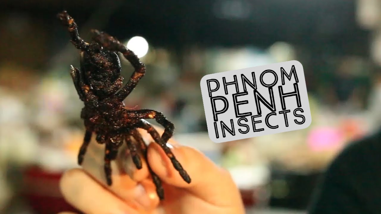 Eating Insects in Phnom Penh | WHAT TO EAT IN CAMBODIA - S01E02 - YouTube