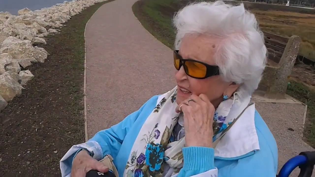 100 year old Fanny hughes watching Evie Red Fox Labrador fetch her ball ...