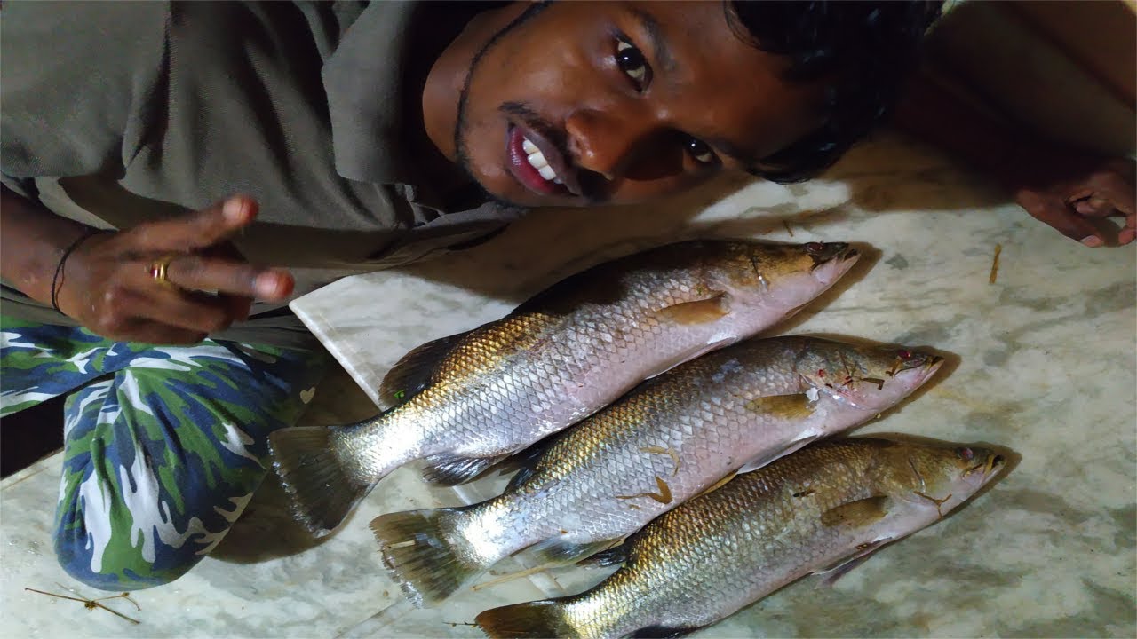 Kerala Fishing കാളാഞ്ചി - YouTube