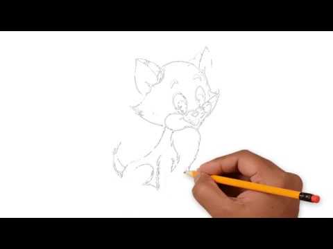 How to Draw Tom Cat Tom and Jerry Step by Step Drawing for Kids - YouTube
