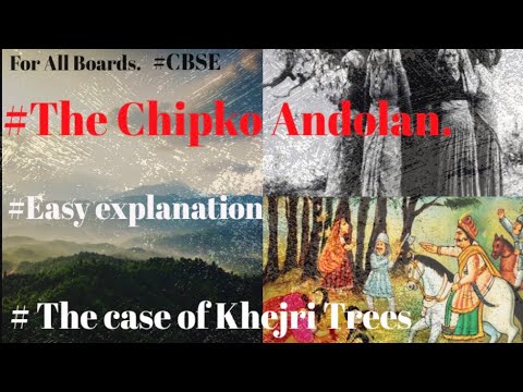 The Case of Khejri Tree. and The Chipko Andolan or Hug the trees ...