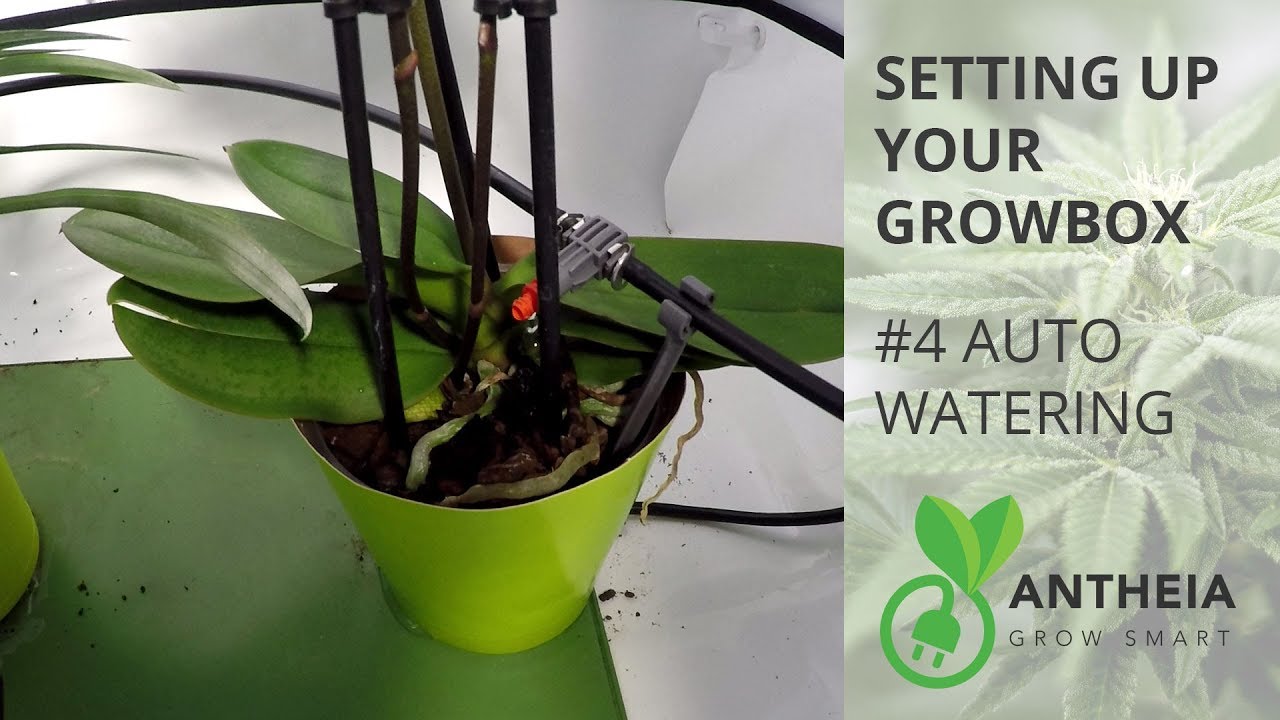Growbox Setup #4 Automatic Watering (English) - YouTube