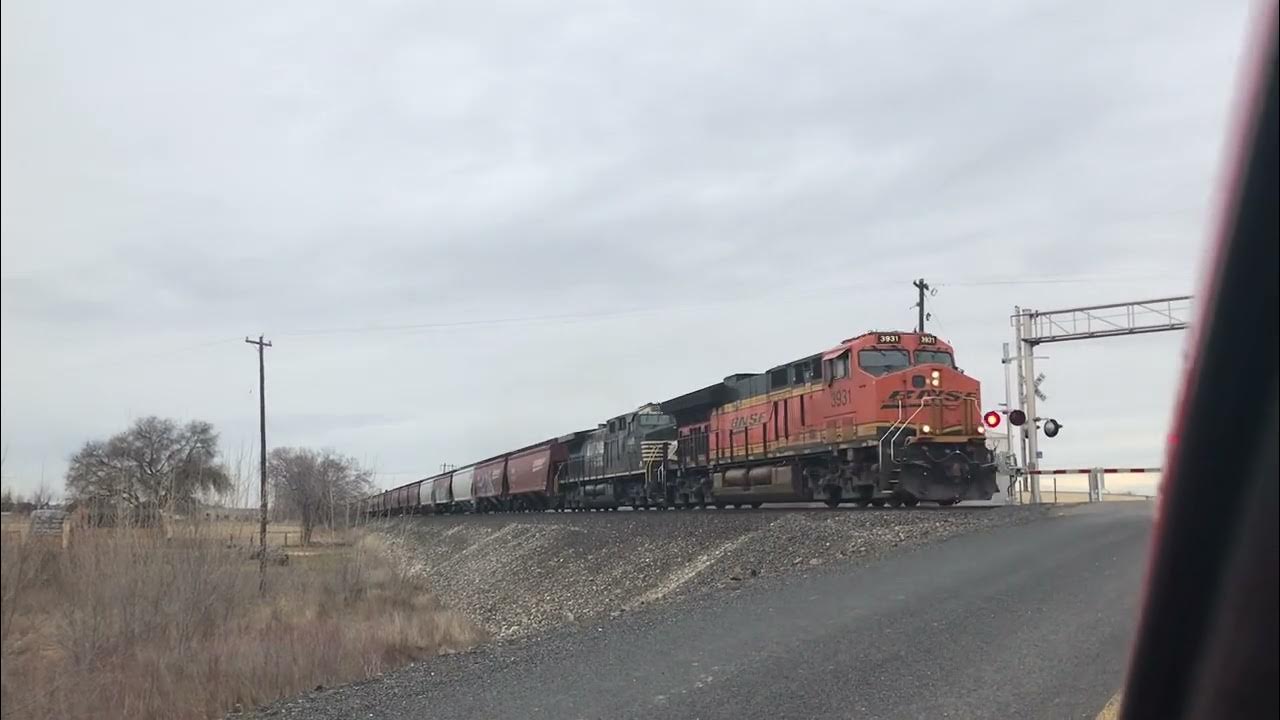 BNSF 3931 and NS 4445 leading a BNSF Grain Train - YouTube
