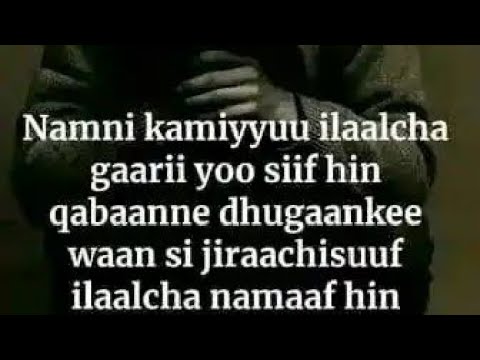 qarmii funana hin haafuu - YouTube