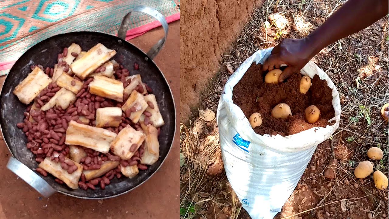 AFRICAN VILLAGE LIFE || COOKING MOST APPETIZING VILLAGE FOOD|| HOW WE ...
