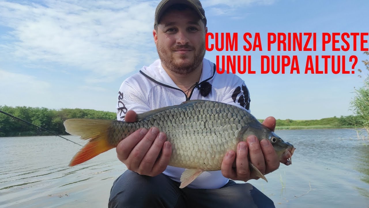 Pescuit la feeder: Cum sa prinzi caras si ciortan rapid - YouTube