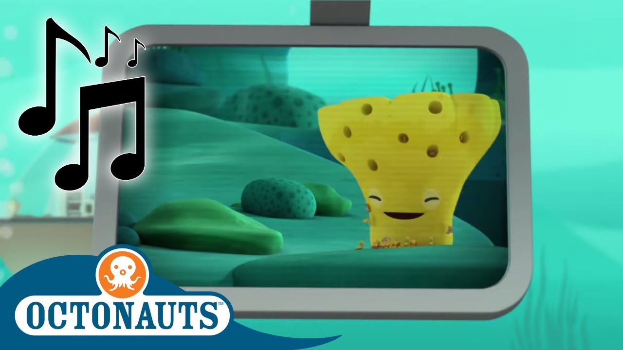 Octonauts - Sea Sponge and Others | Cartoons for Kids | Creature ...